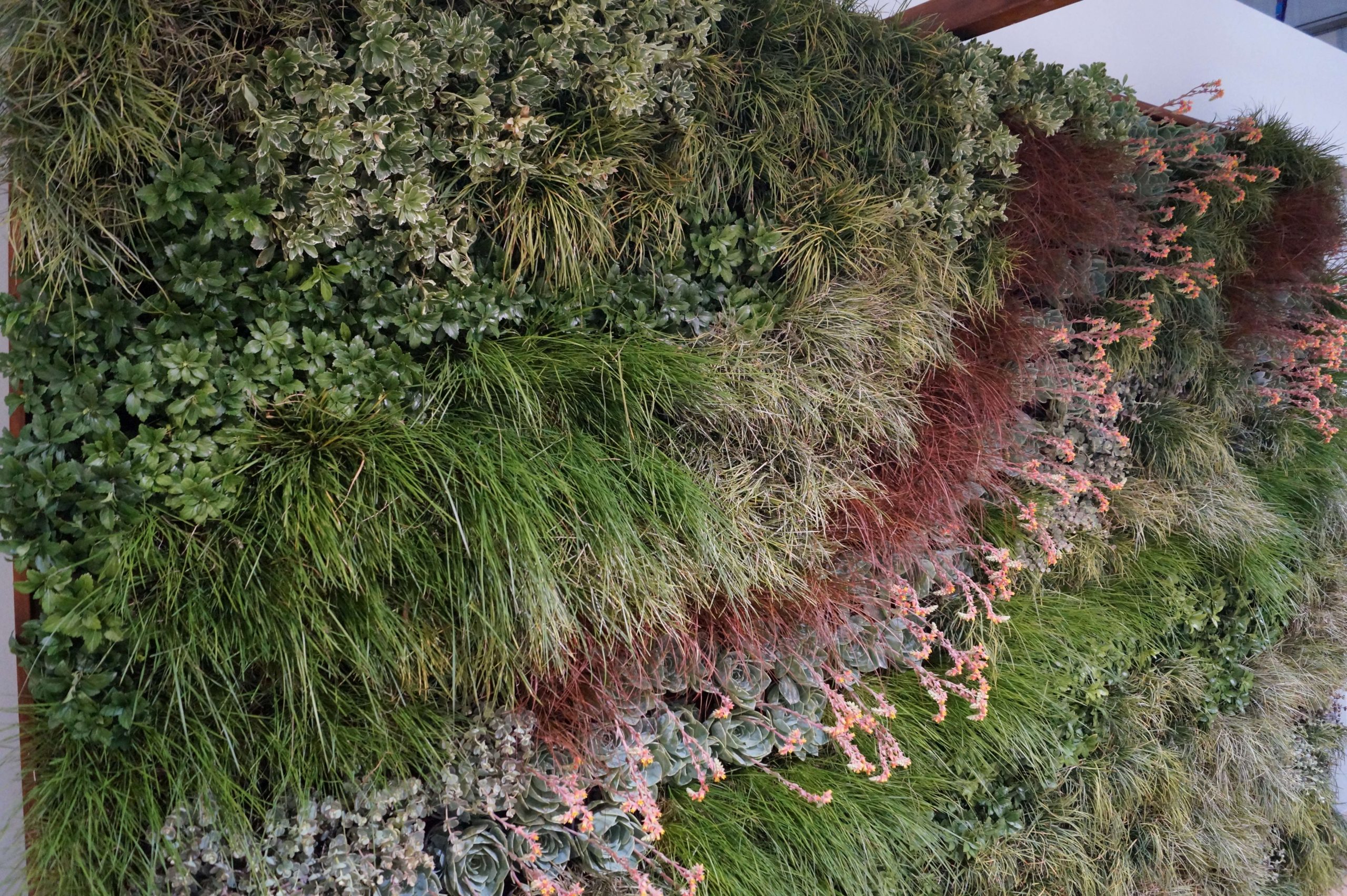Temporary Green Wall - Studio Bellesi Giuntoli